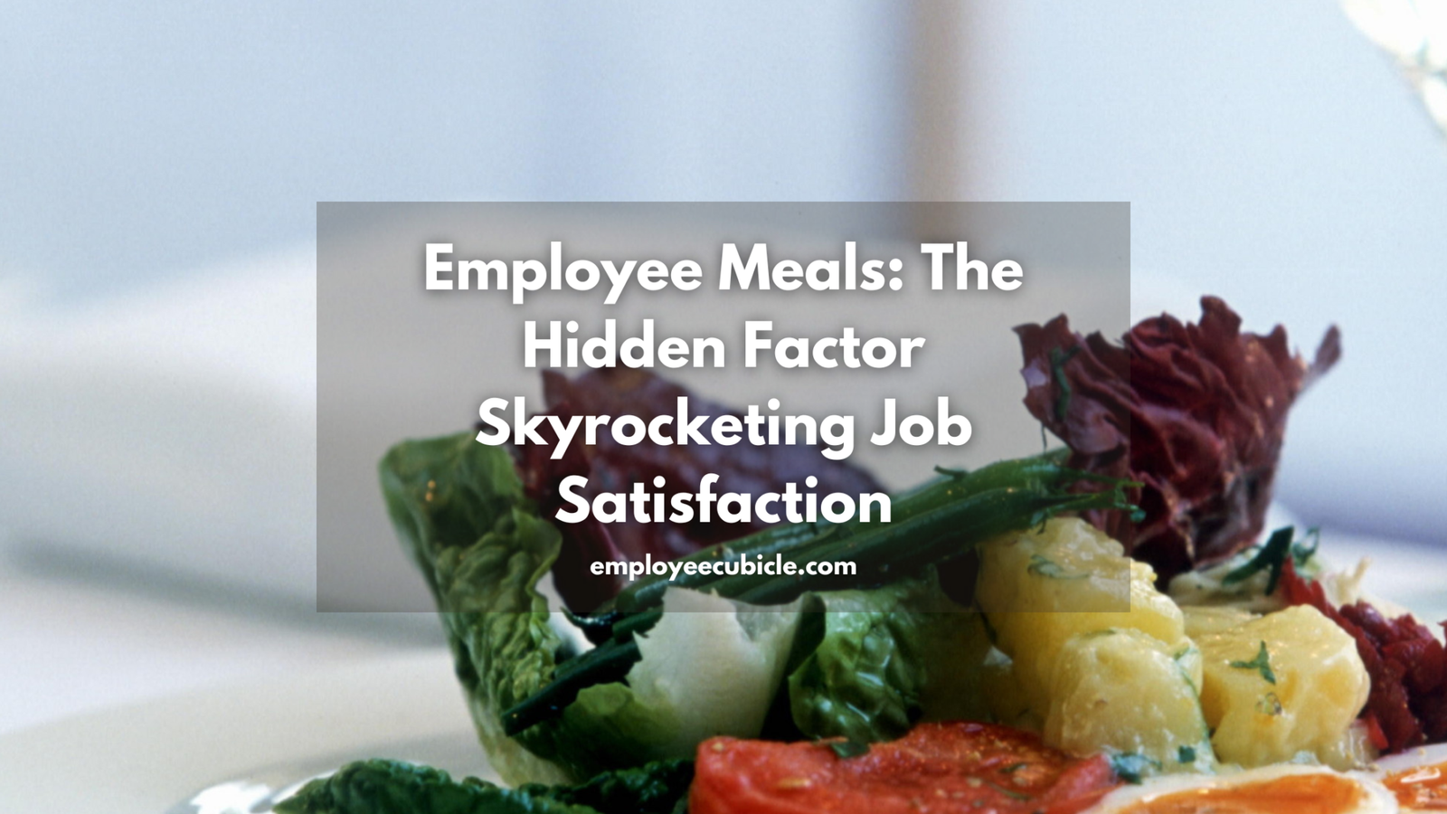 Employee Meals: The 13 Hidden Factor Skyrocketing Job Satisfaction ...